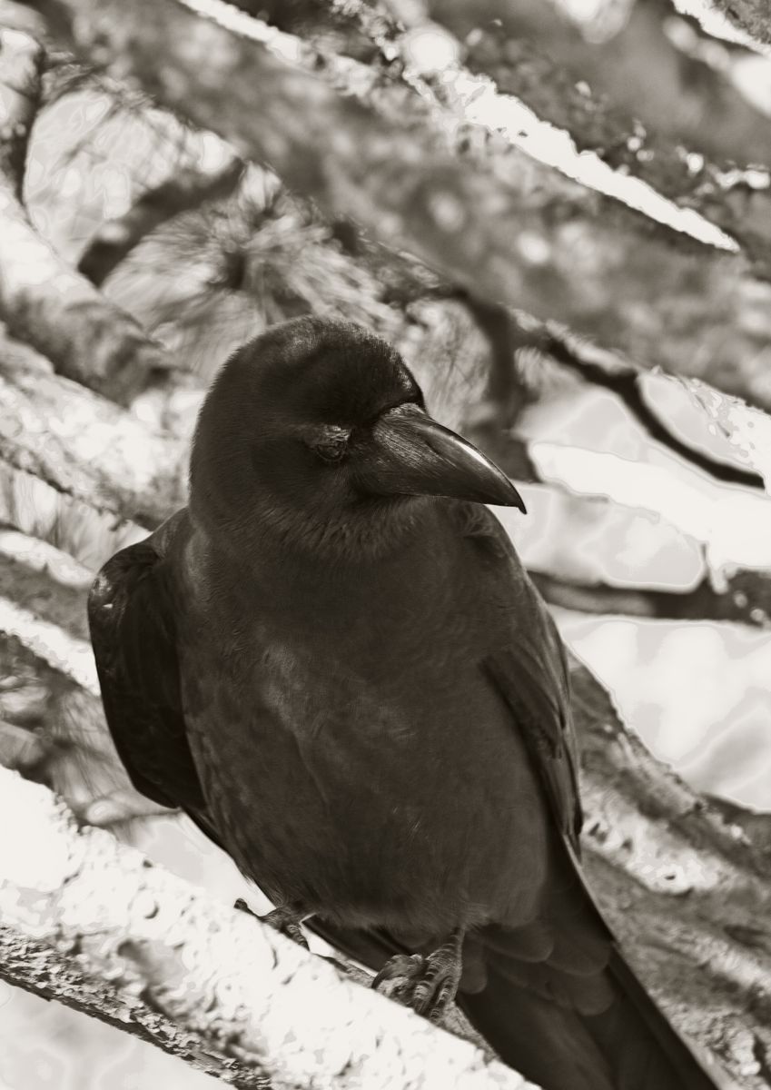 another dimension | GANREF