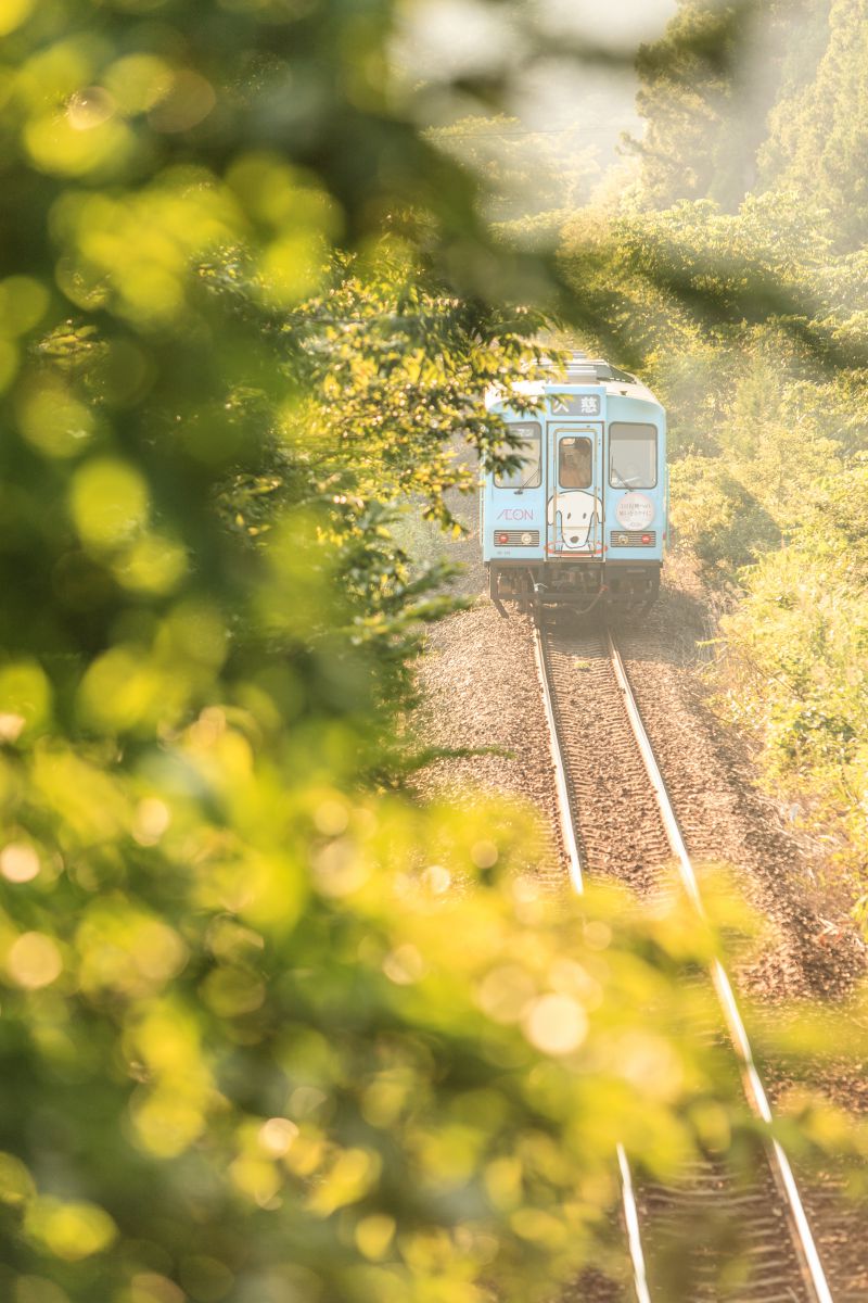 真夏のSantetsu good ! | GANREF