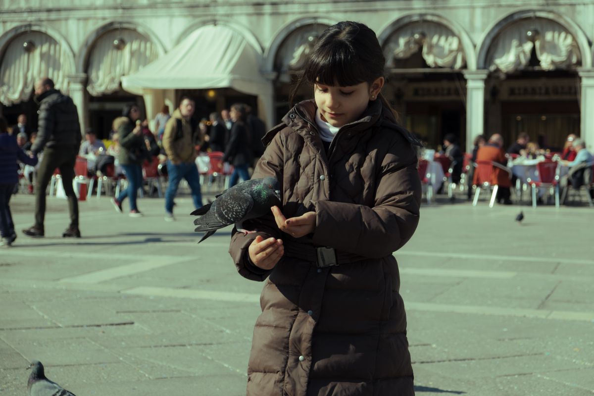 鳩と少女 | GANREF