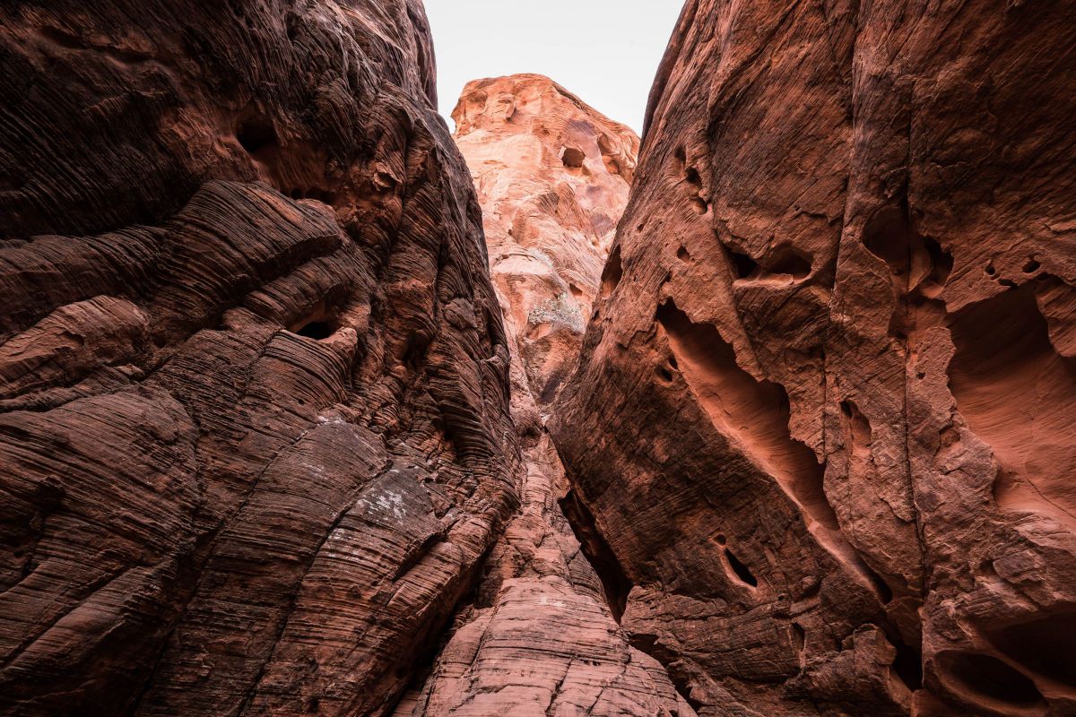 Wings of a rock butterfly | GANREF