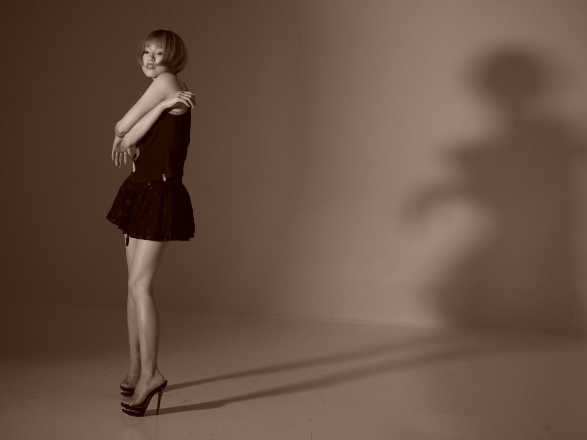 Shadow Dancer | GANREF