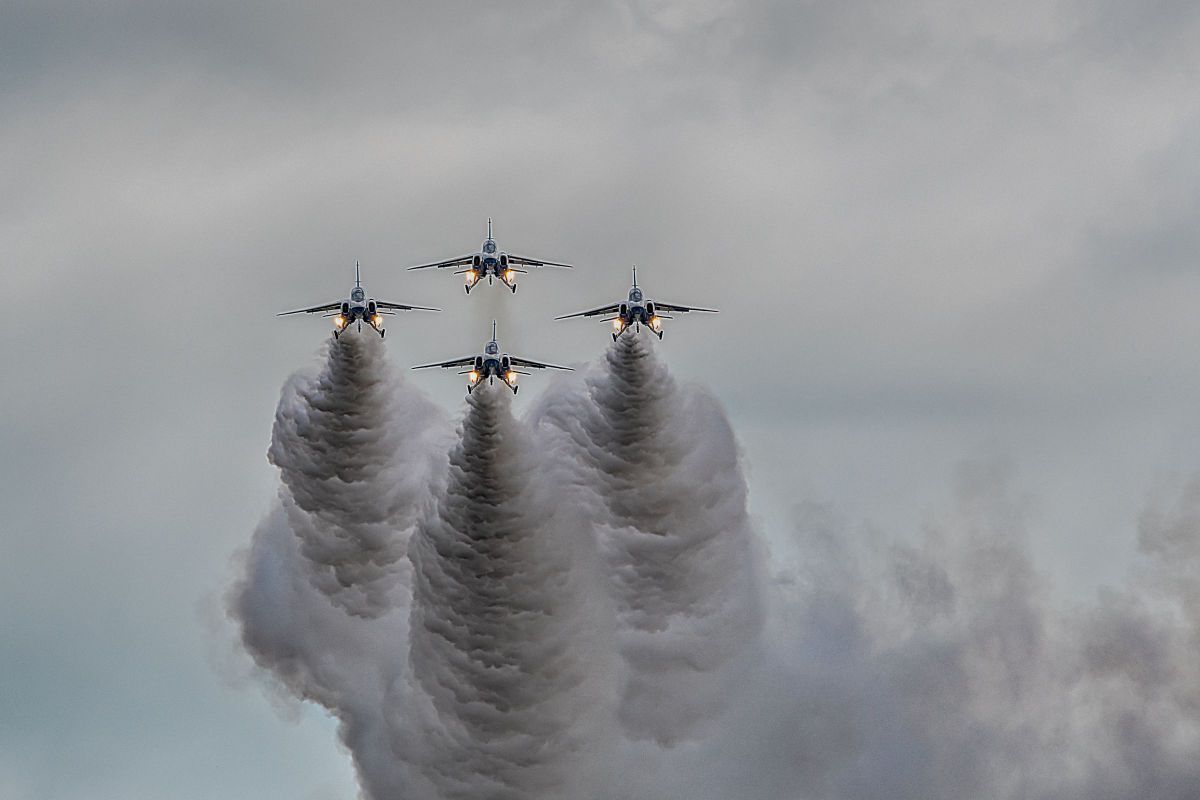 It's SHOWTIME！ | GANREF