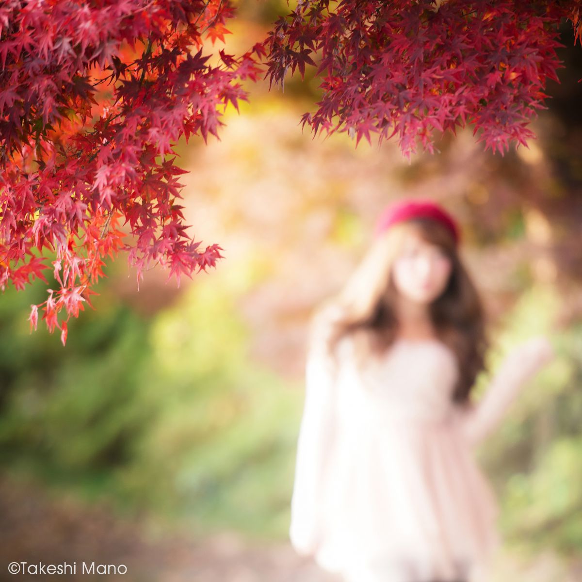 autumn leaves | GANREF