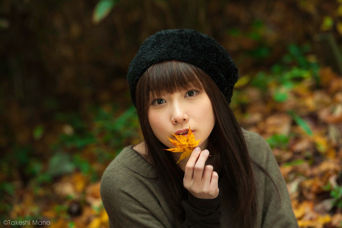 autumn leaves | GANREF