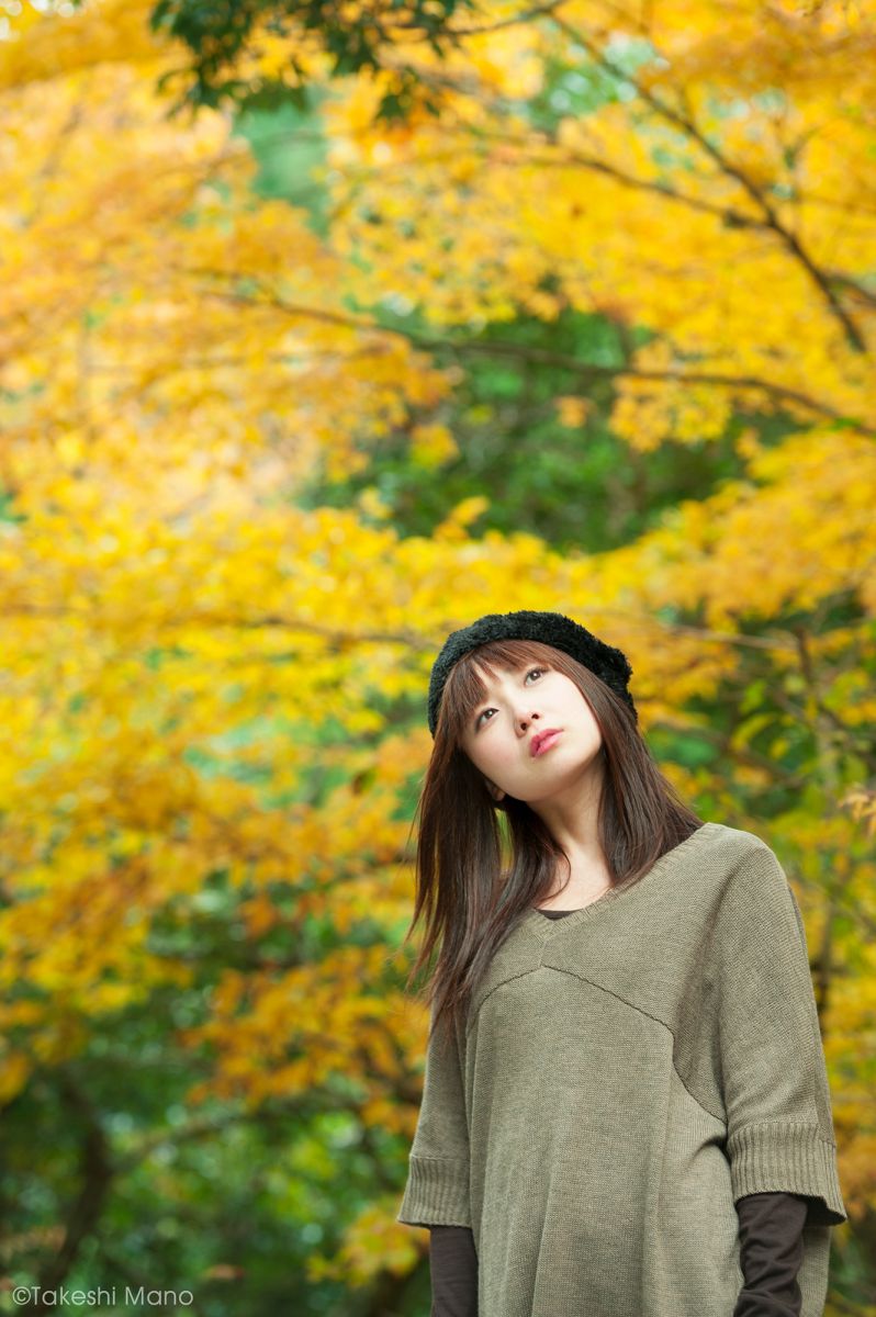 autumn colors | GANREF