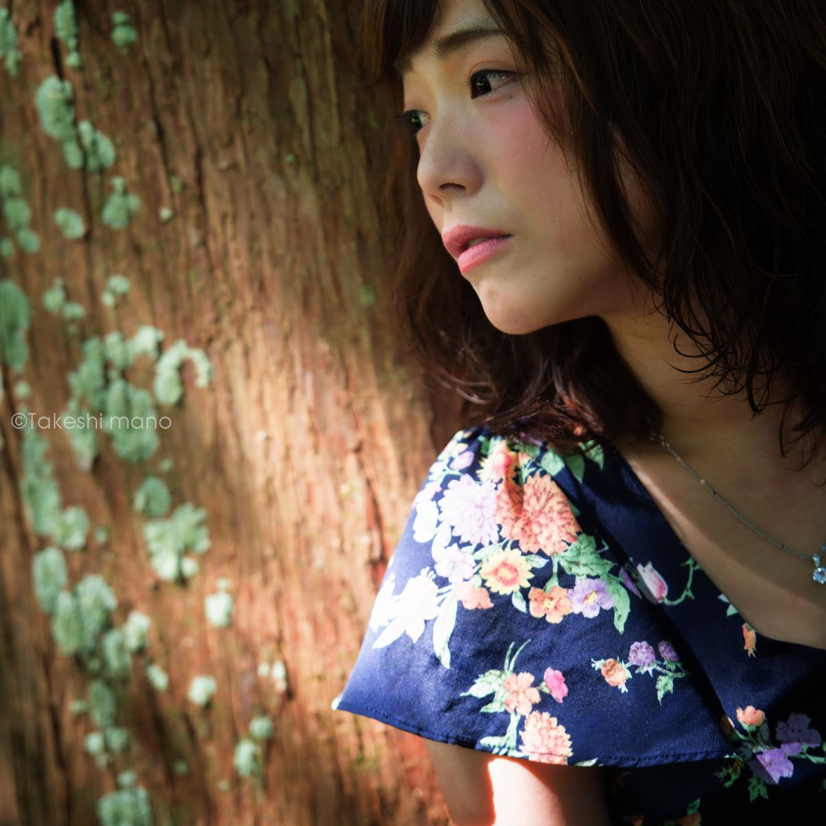 木漏れ日 | GANREF