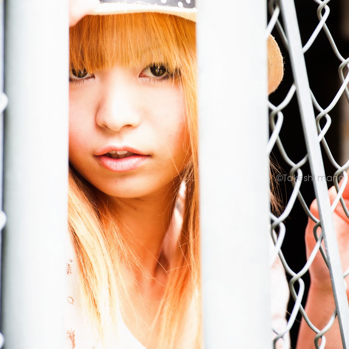 hide and seek | GANREF