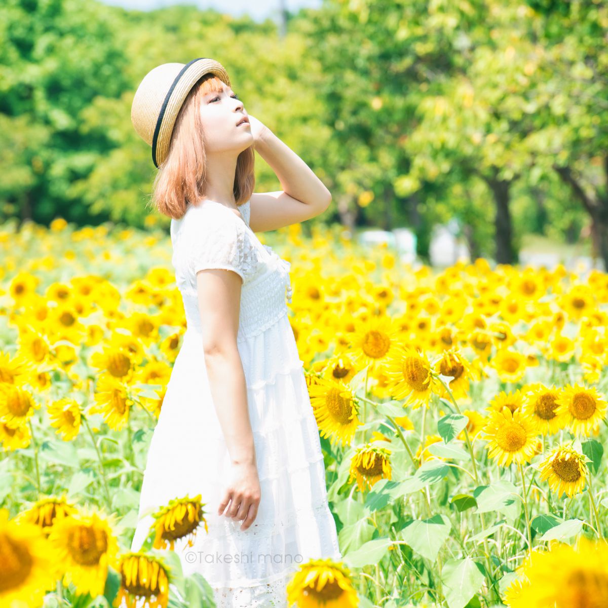 summer time | GANREF