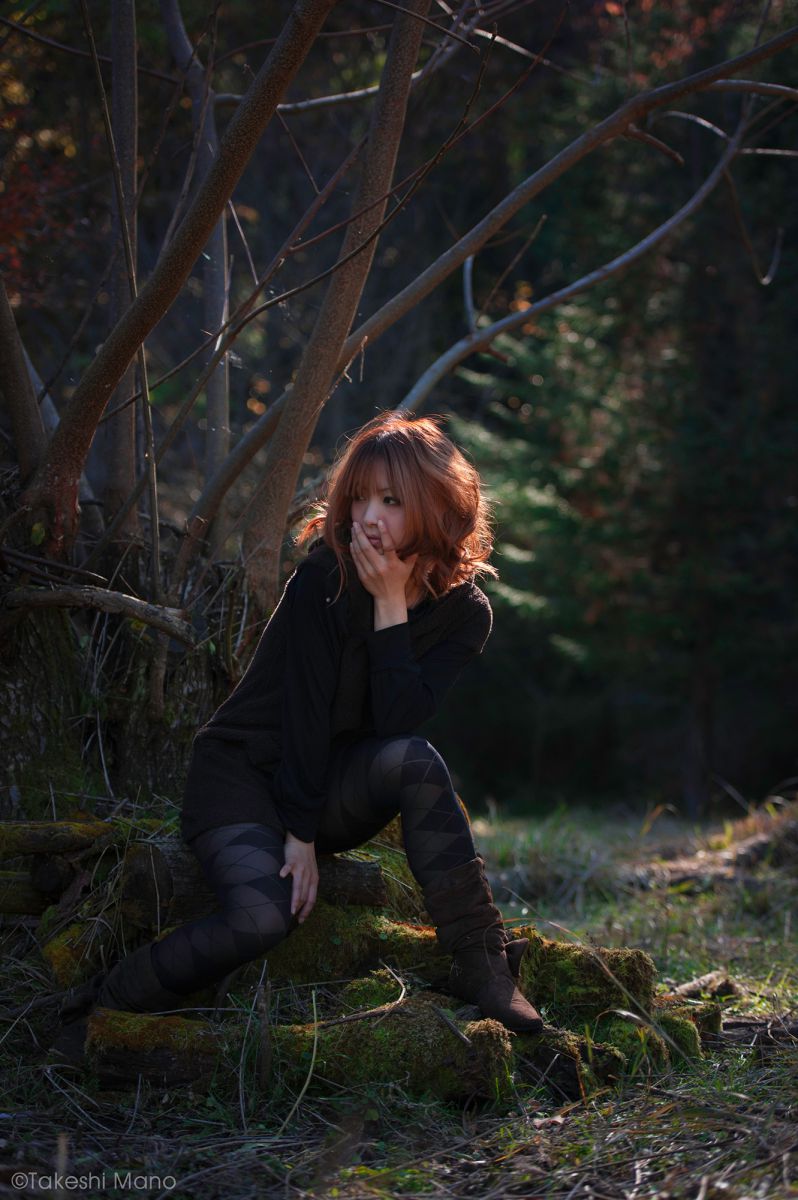 lights and shadows | GANREF