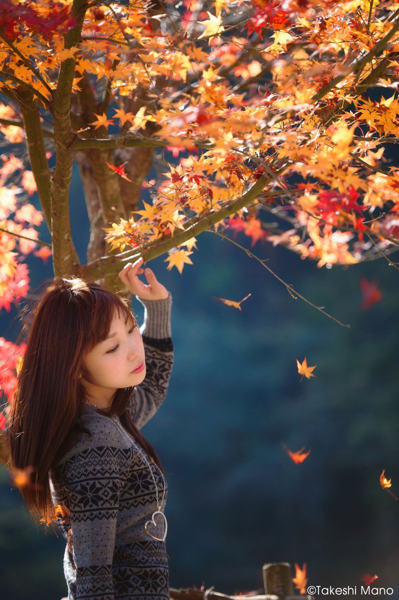 autumn leaves | GANREF