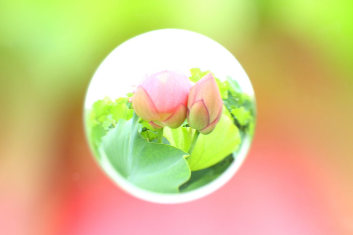 Lovers♡‘‘ | GANREF