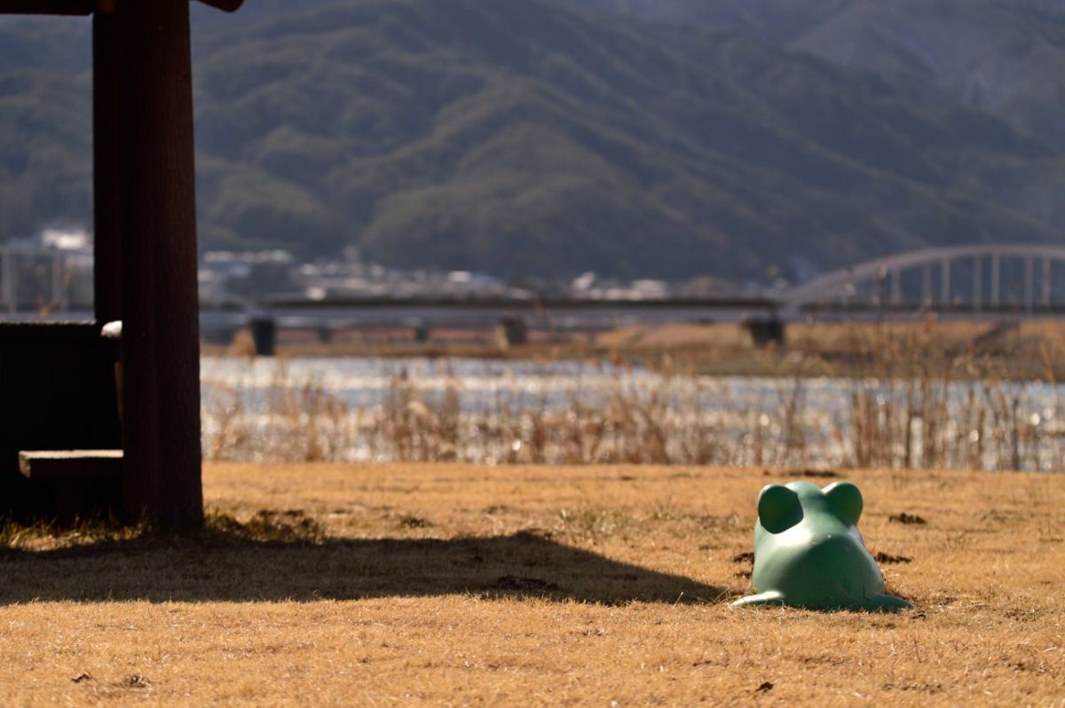 春よ来い 後ろ姿 | GANREF