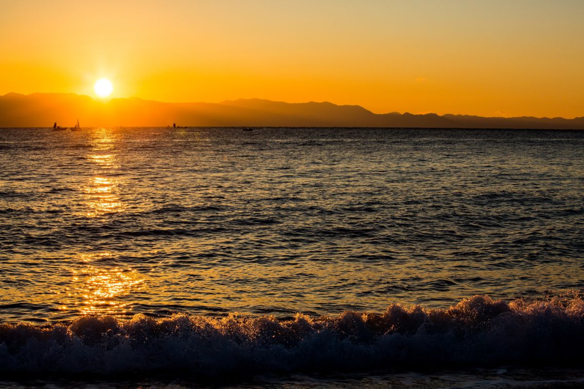 Bathed in the morning sun | GANREF