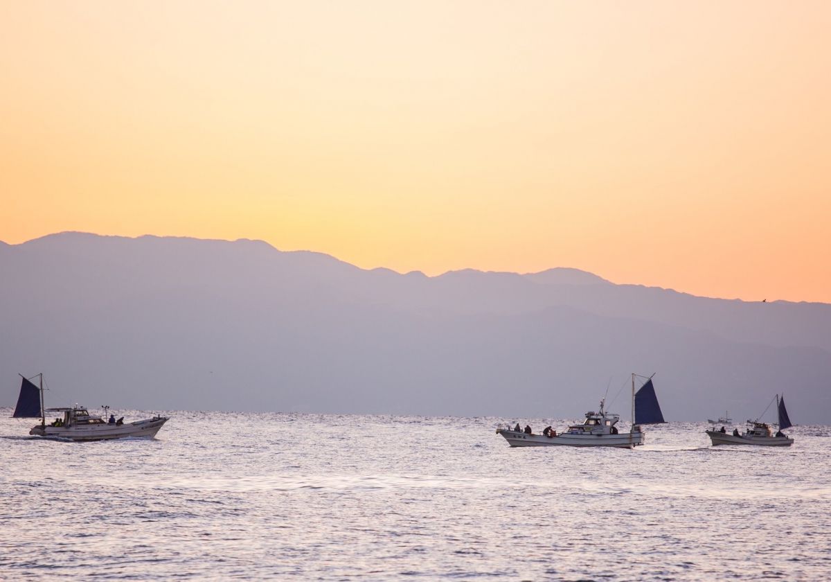 work from the morning | GANREF