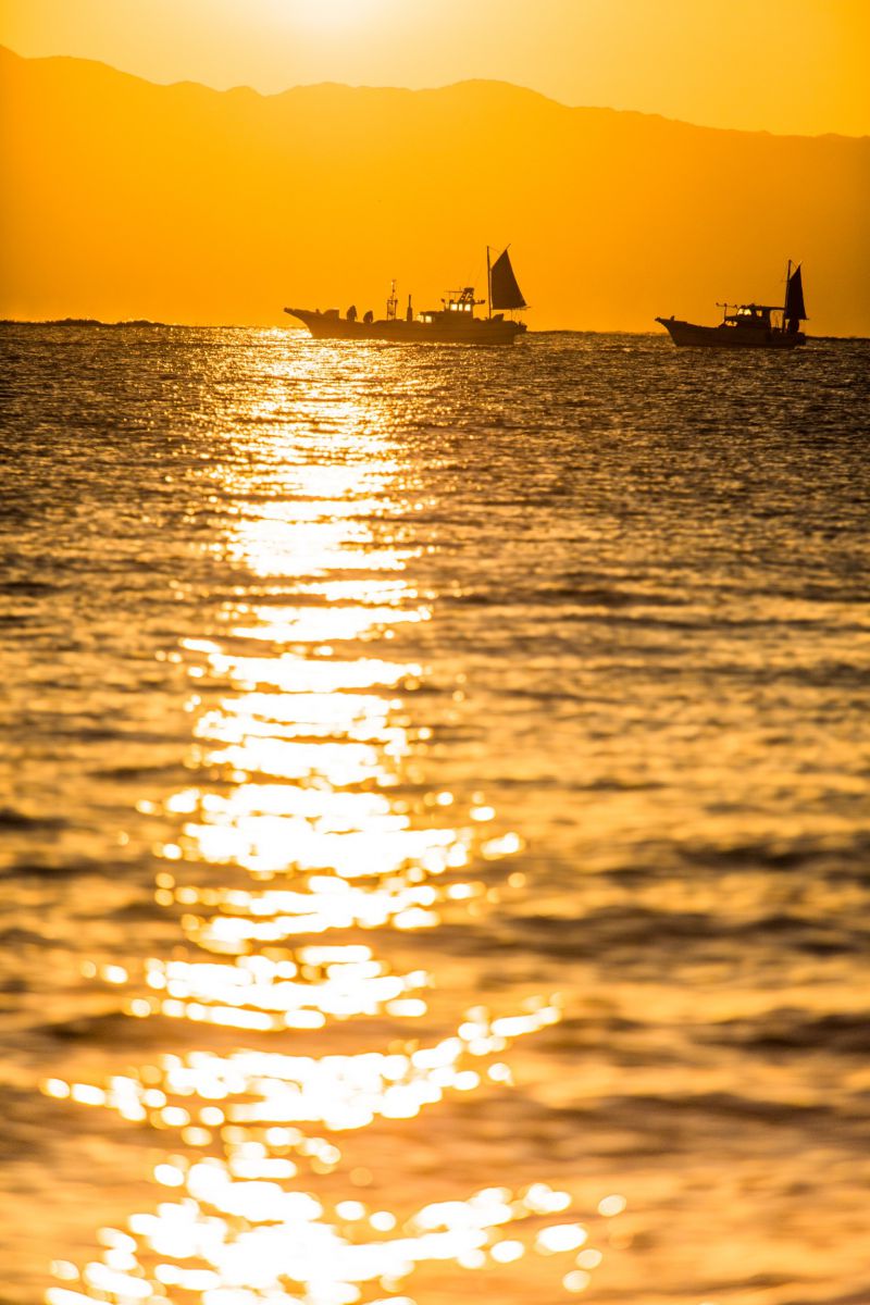 Wrapped in Chaoyang | GANREF