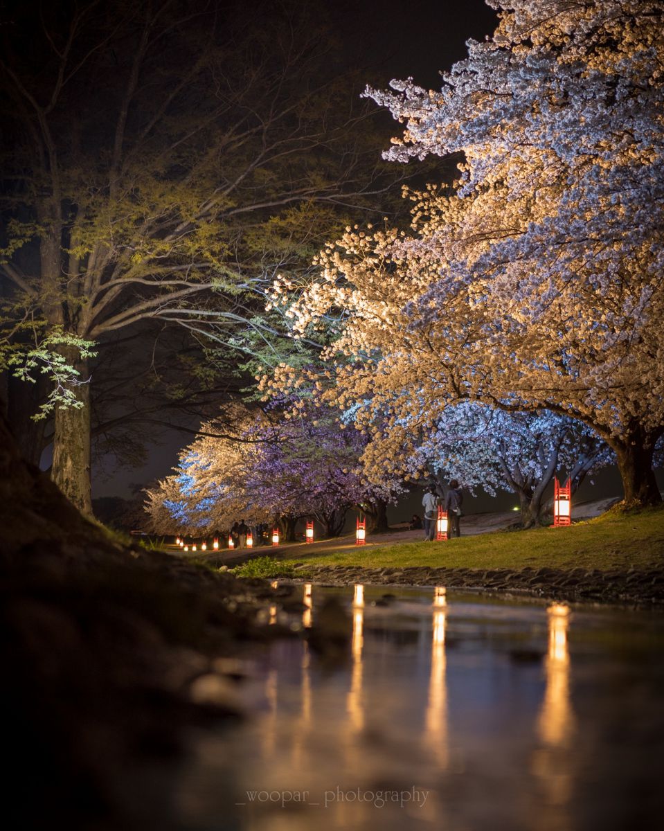 一寸法師の見た世界 | GANREF