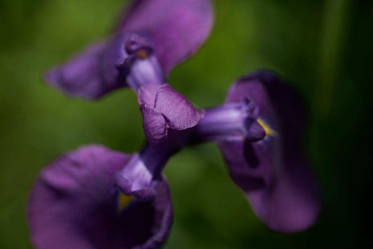 ドローン | GANREF