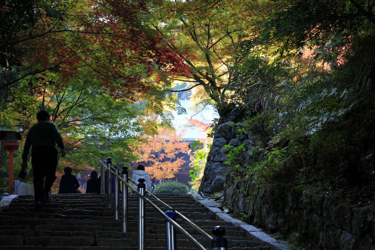 ひかりのなるほうへ | GANREF