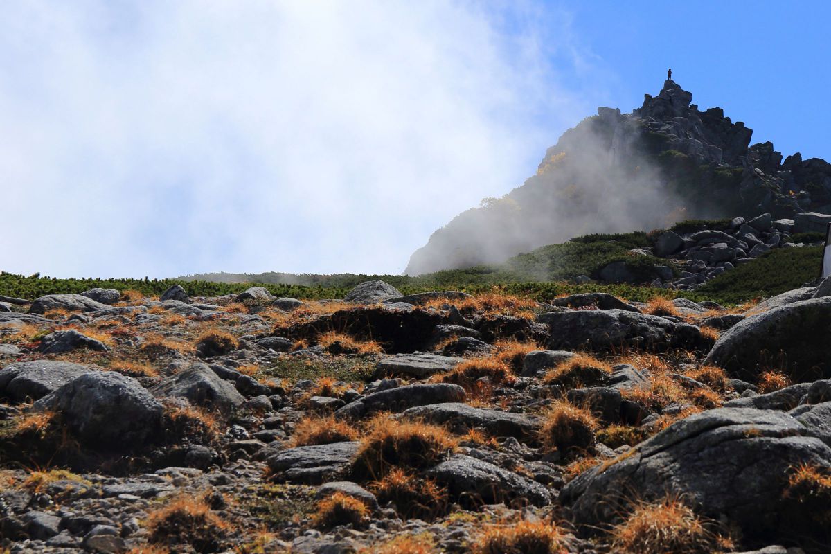 on the mountain top | GANREF