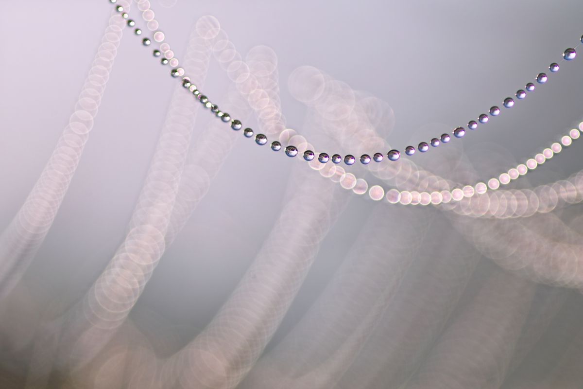 Ring Ring Ring | GANREF