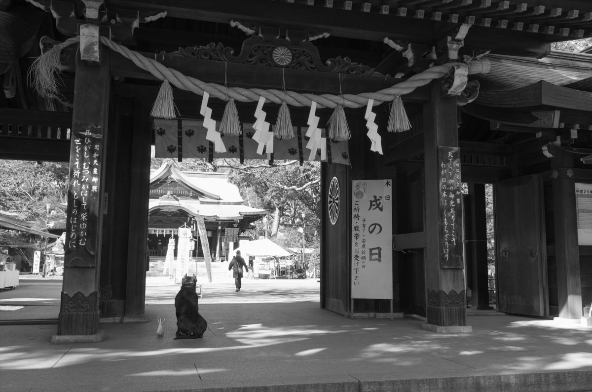 His Master's Sight | GANREF