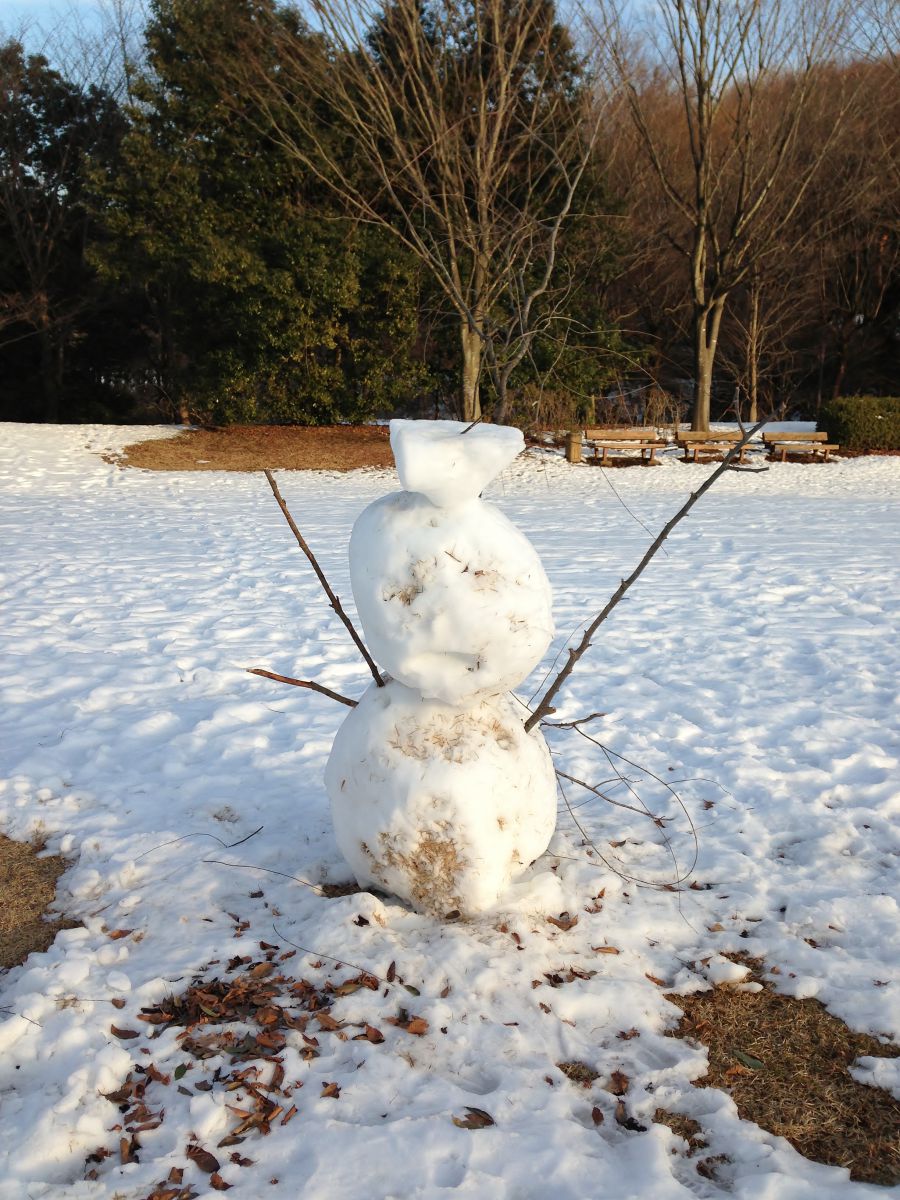 東京の今日の雪だるま | GANREF