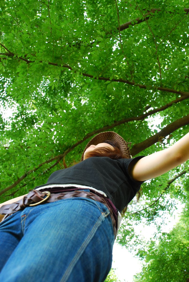 森の案山子 | GANREF