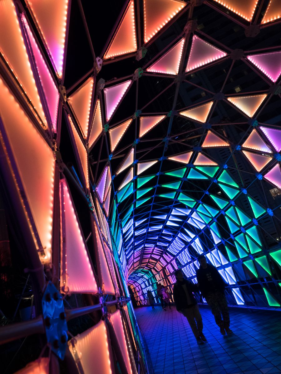 through the triangle world | GANREF