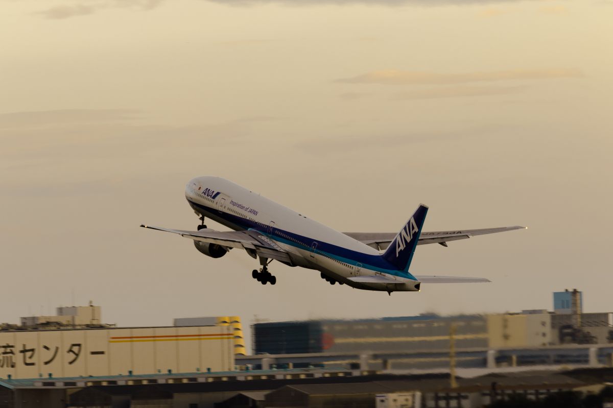 Twilight Fright(ANA) | GANREF