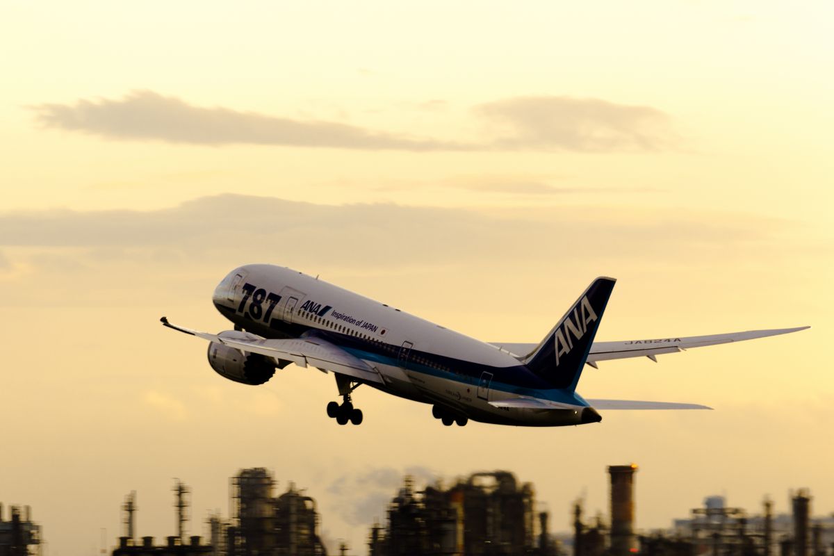Twilight Flight(ANA 787) | GANREF