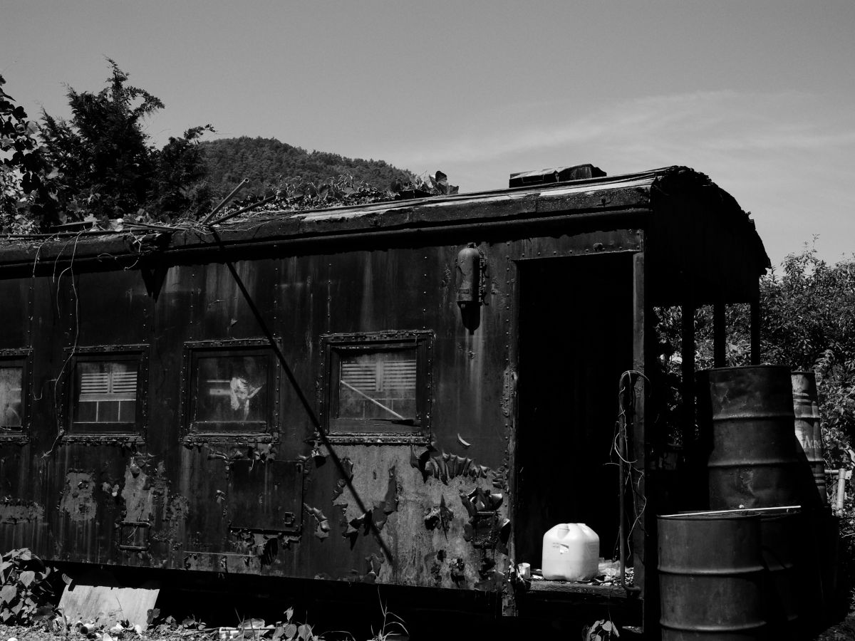 SECOND LIFE | GANREF