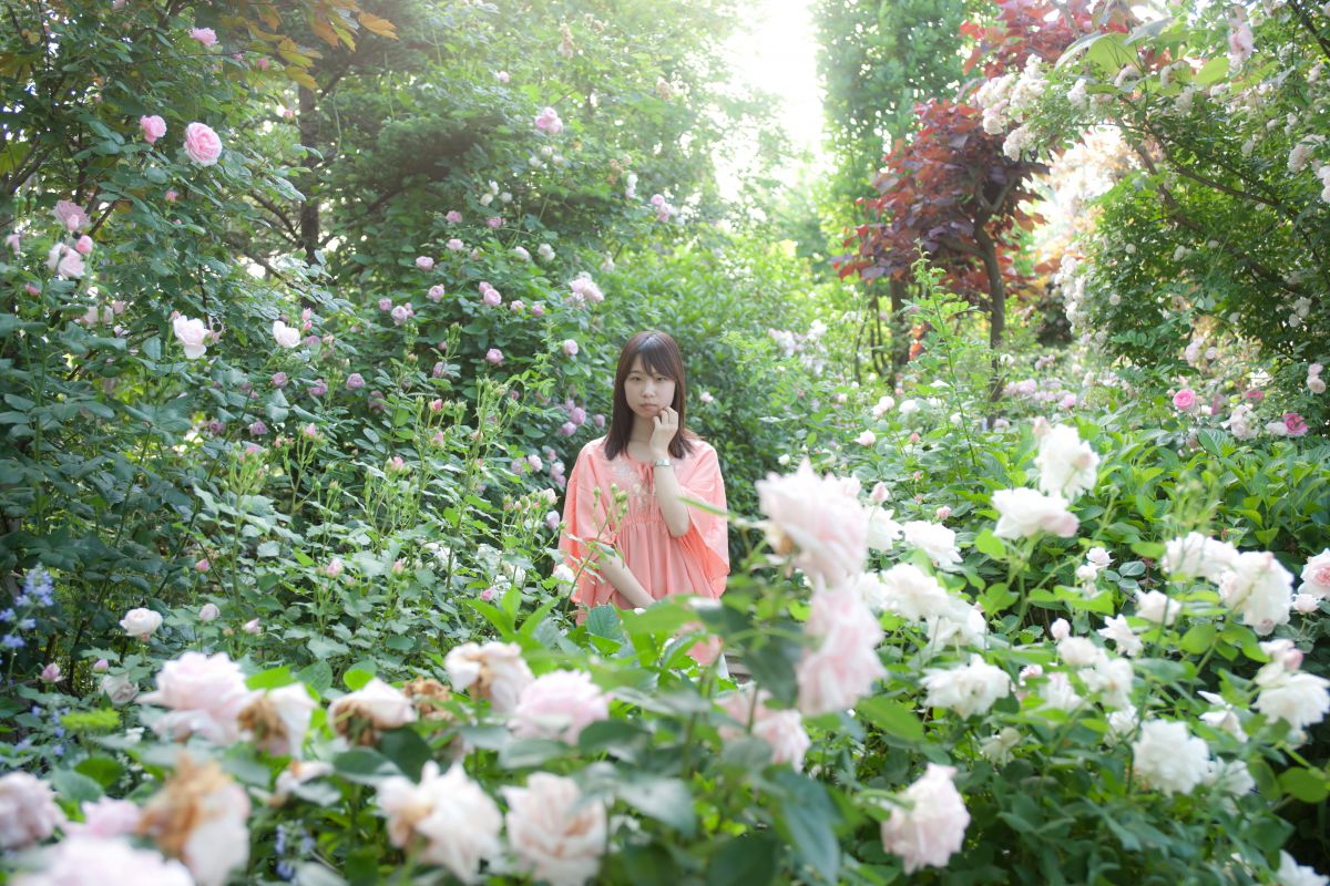 薔薇とMoka | GANREF