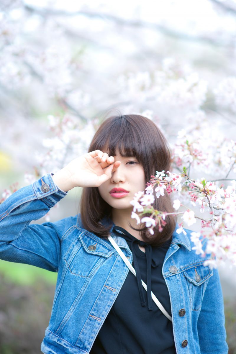 桜 桜 桜 こんはるさん | GANREF