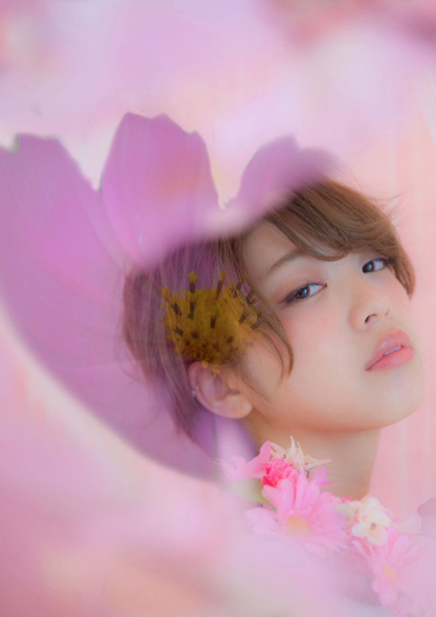 コスモスのお姫様 | GANREF