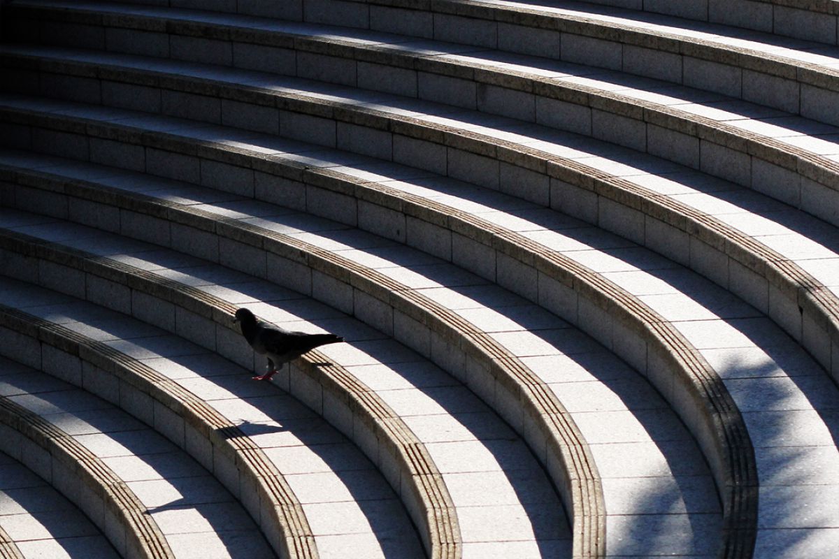 A stepping tone | GANREF