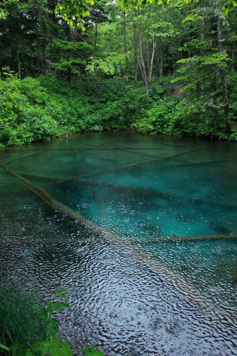 神の子池 | GANREF