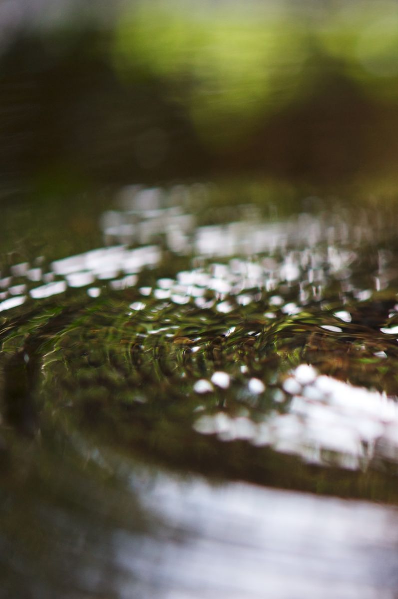 『命の水』 | GANREF