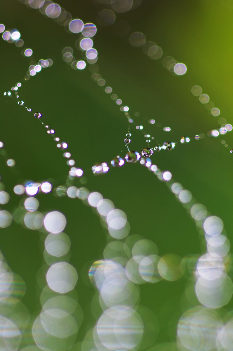 光り遊び | GANREF