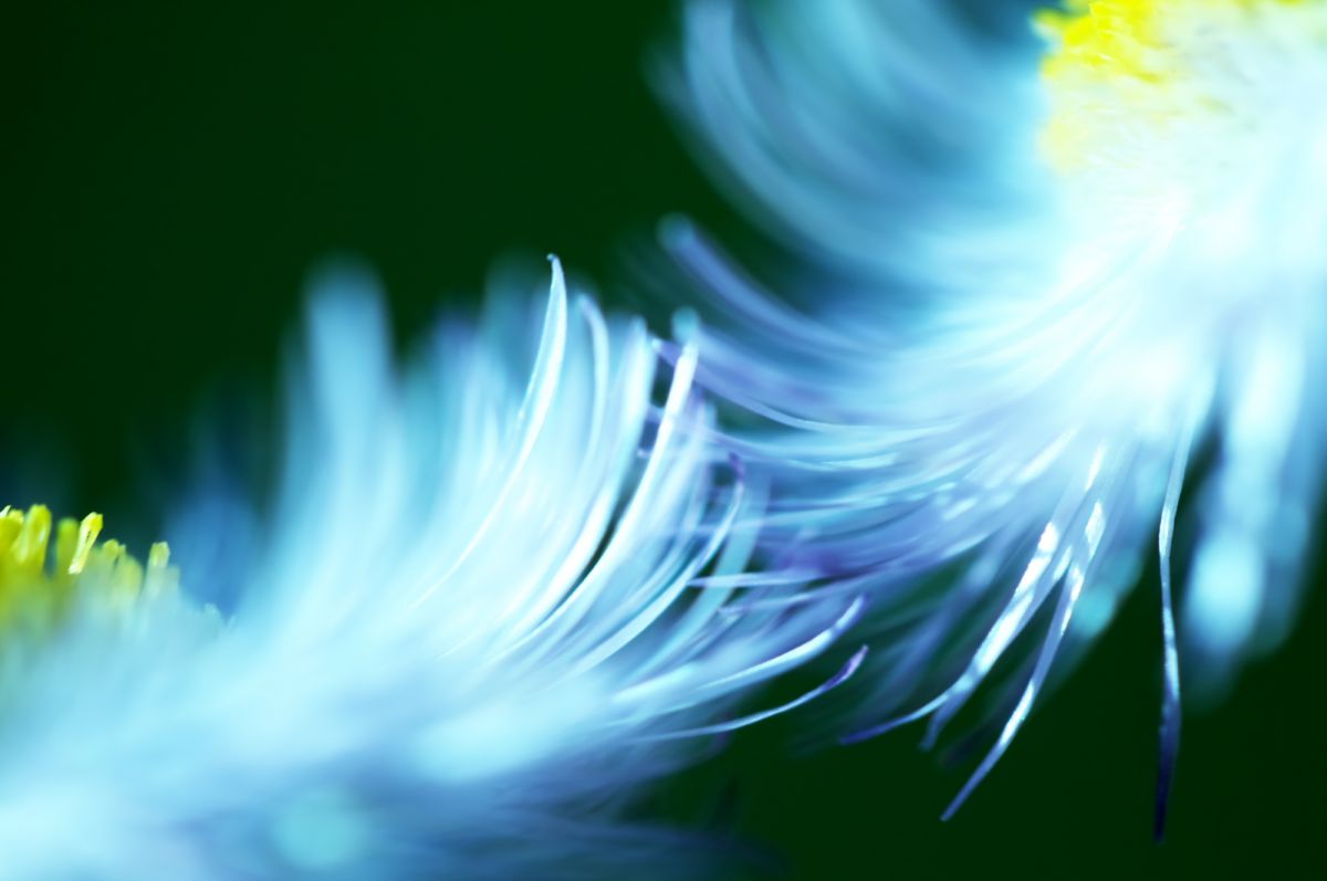 手を伸ばせば君が居る | GANREF