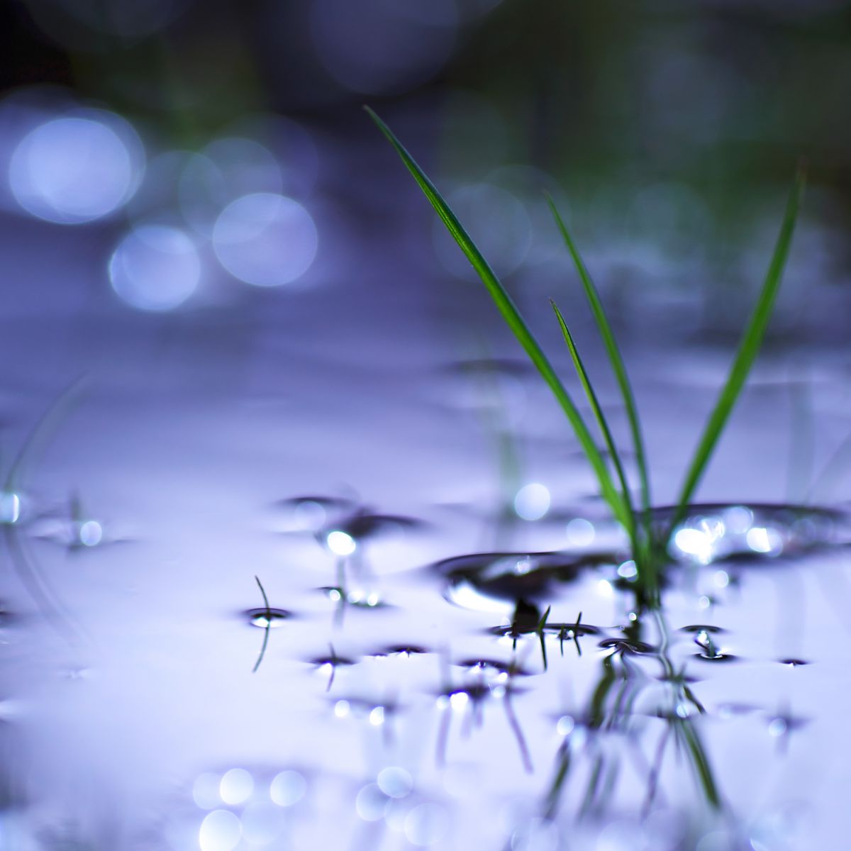 『語らい』 | GANREF