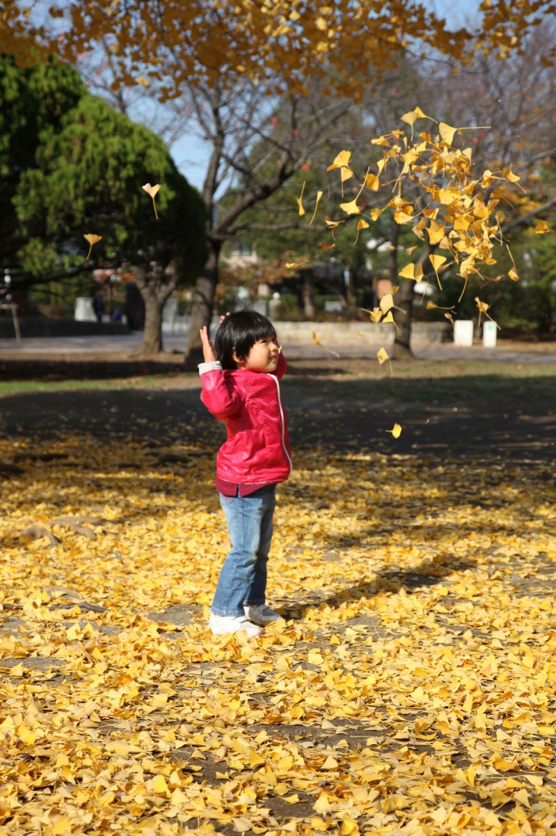 とんでけぇ♪ | GANREF