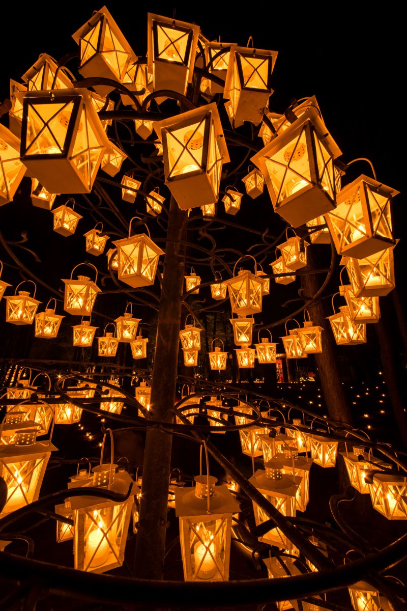 灯火とどけ | GANREF