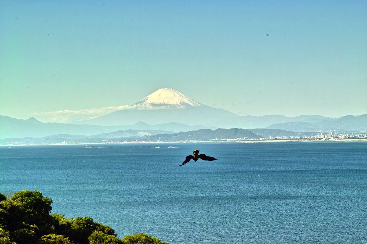 江ノ島から | GANREF