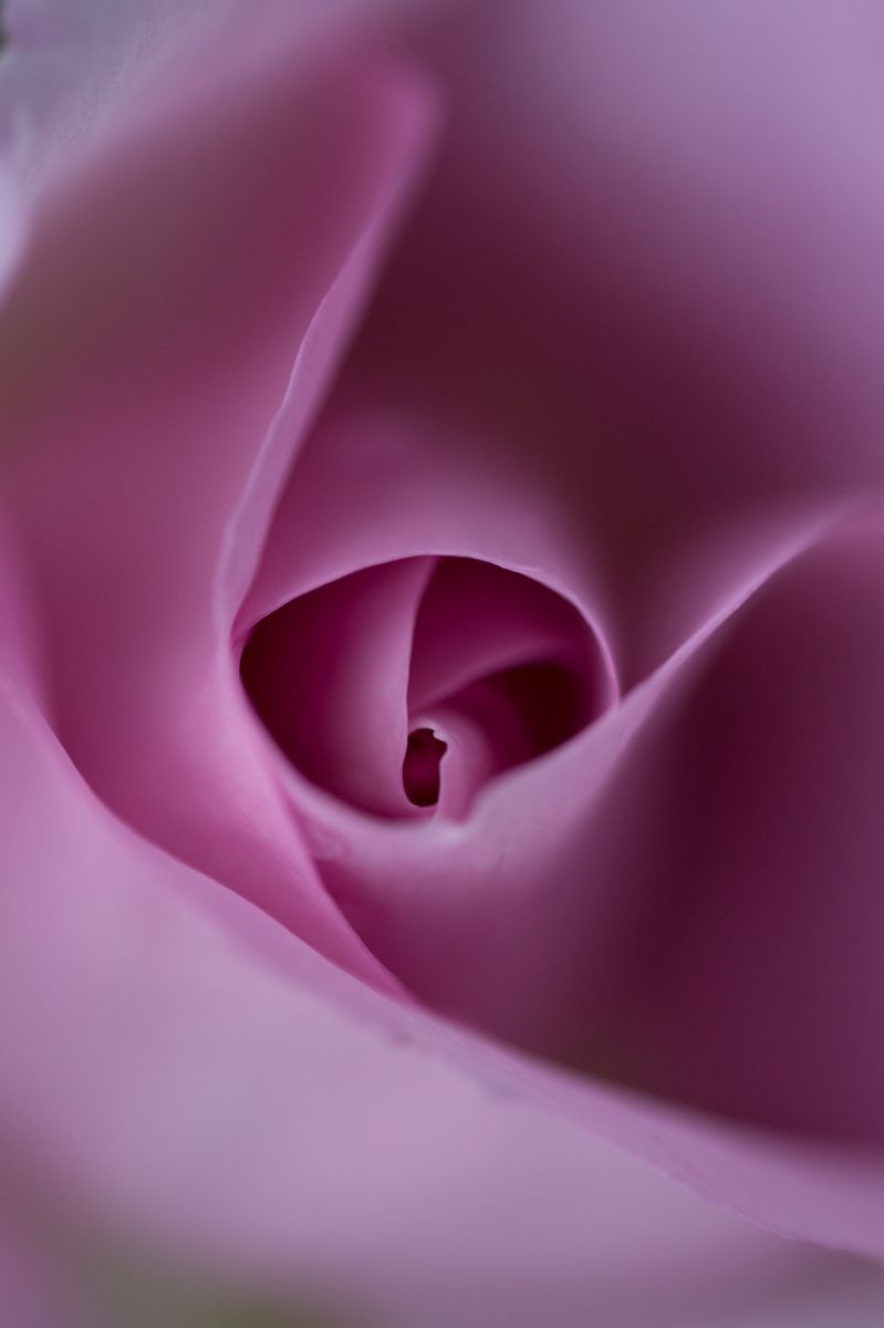 のぞき見 | GANREF