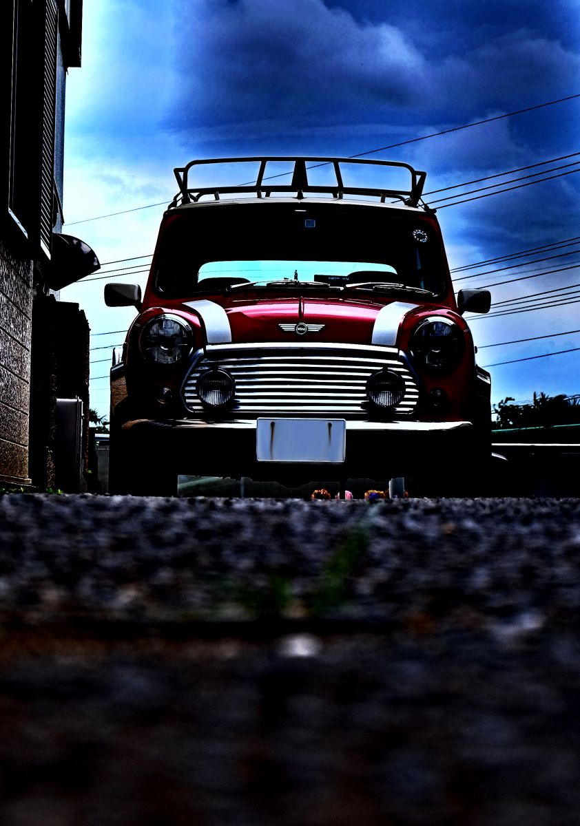 Dynamic MINI | GANREF