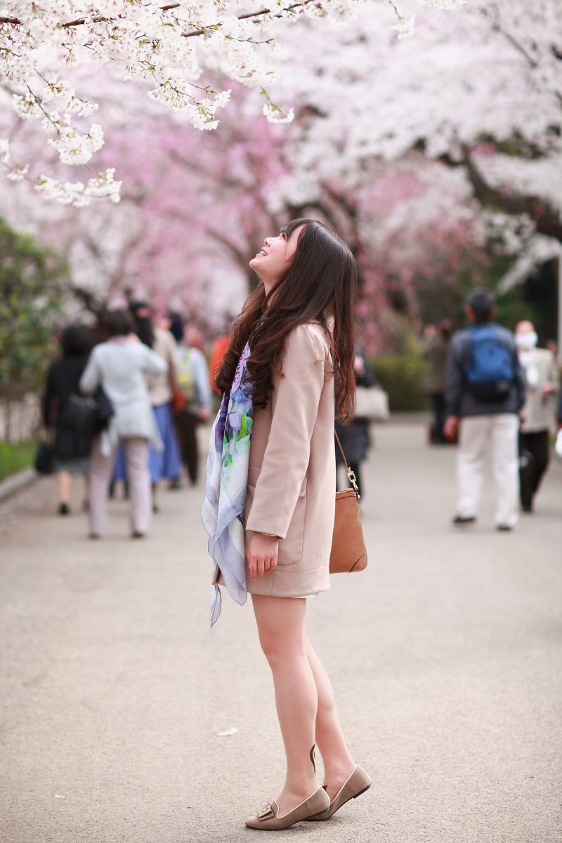 満開の桜の下で | GANREF