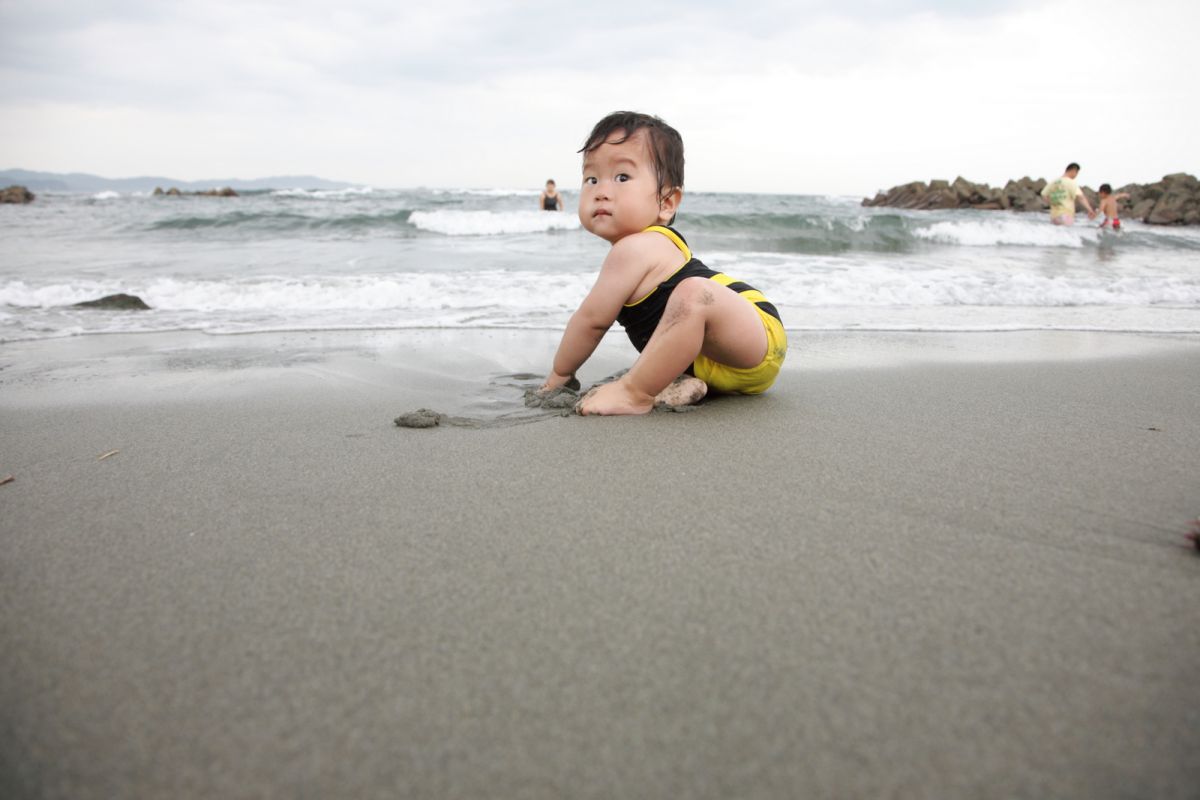 海に挑む男 | GANREF