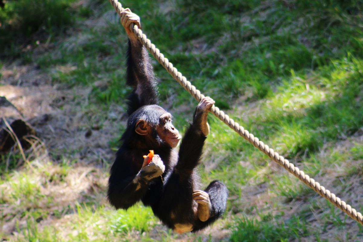 こどもの日 | GANREF