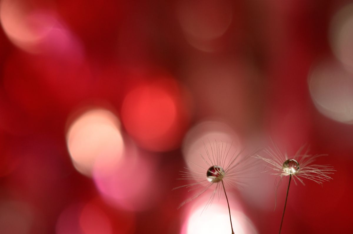 Rain Play-15 | GANREF