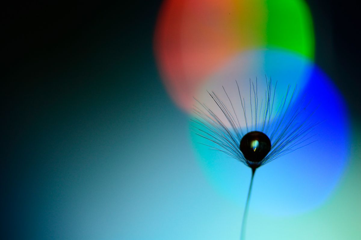 Rain Play Returns | GANREF